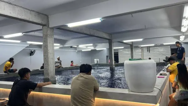 JB’s Largest Indoor Prawn Fishing Business - Skudai